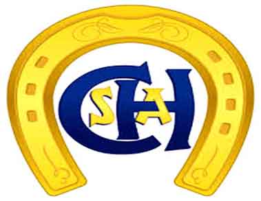 Chsa Logo